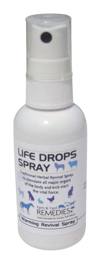 Battles Life Drop Spray 30ml - BATA Ltd