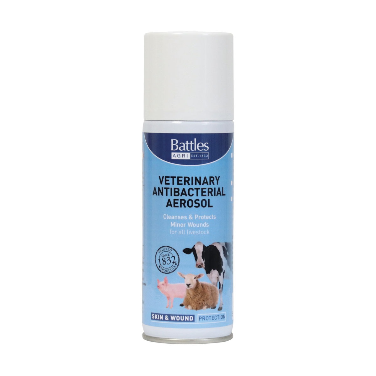 Battles Antibacterial Spray - 150g - BATA Ltd