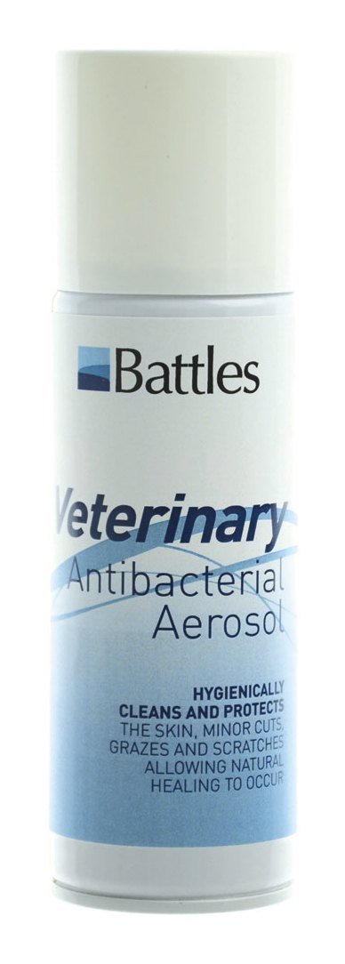 Battles Antibacterial Spray 150g - BATA Ltd