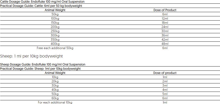 Endofluke - BATA Ltd