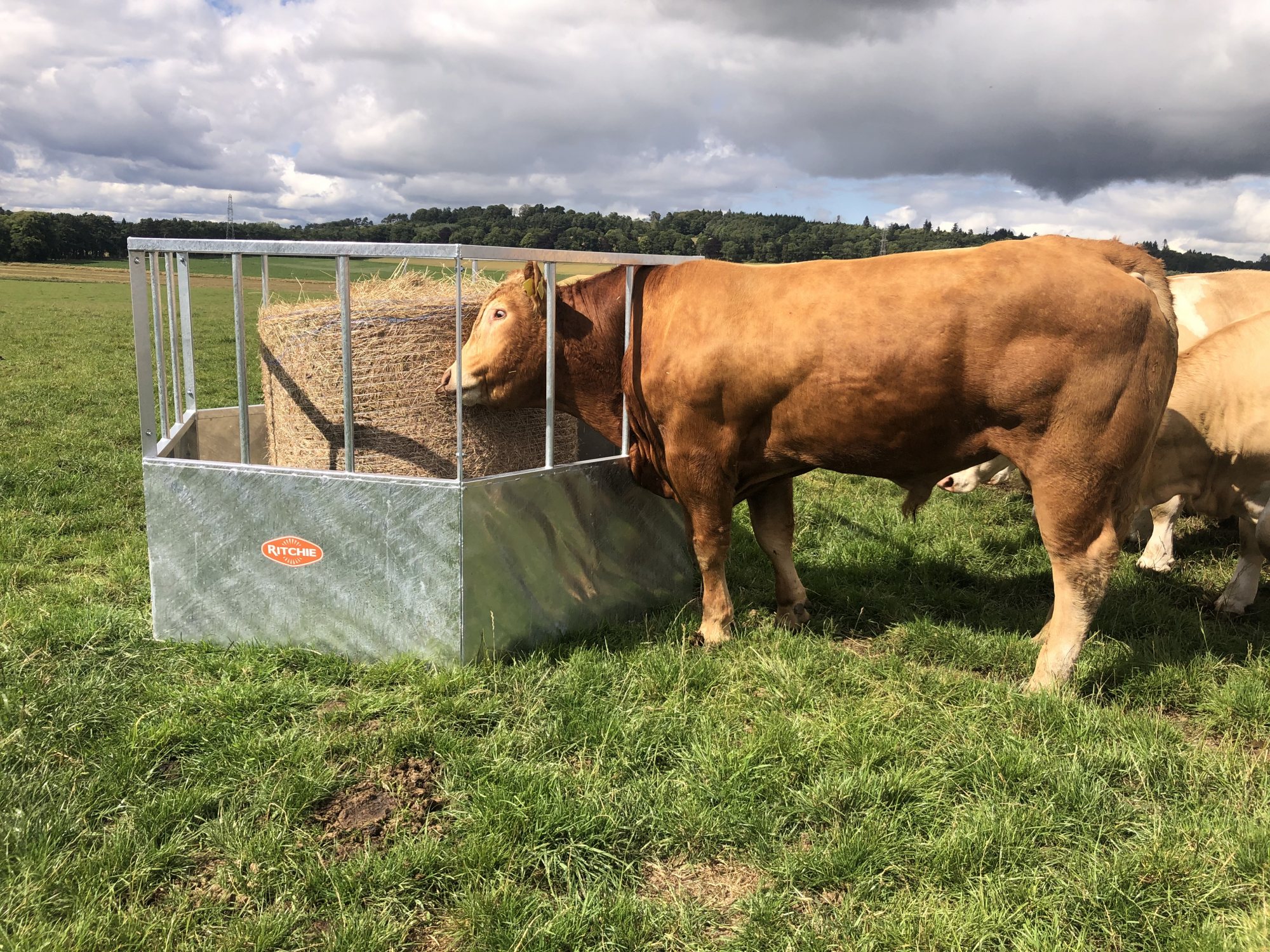 Hexagonal Feed Ring Cattle H/d Ritchie - BATA Ltd