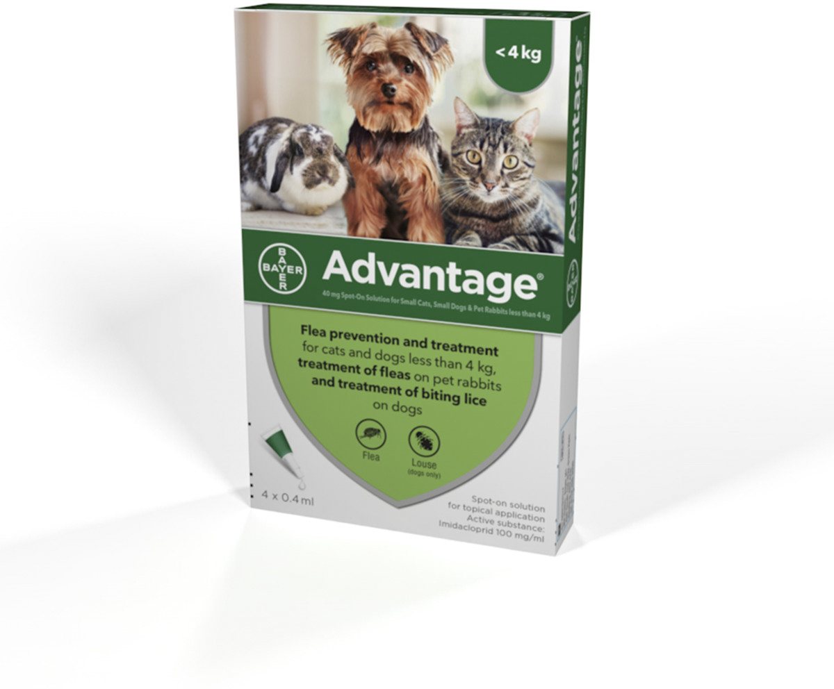 Advantage Anti-flea - 4 Pipettes - BATA Ltd