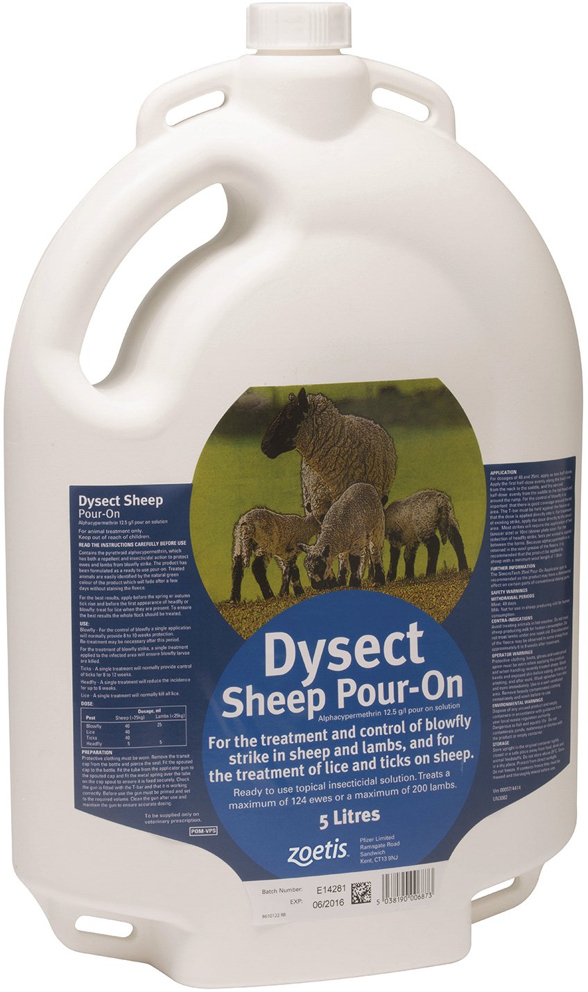 Dysect Sheep Pour On - 5l - BATA Ltd