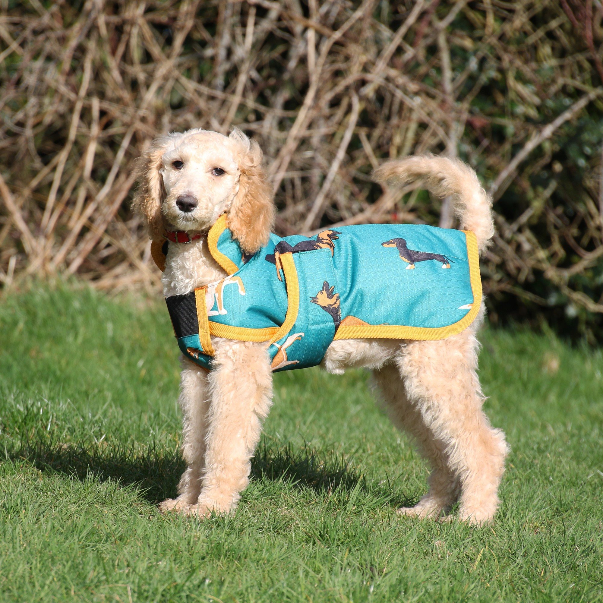 Gallop Dog Print Rug - BATA Ltd