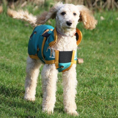 Gallop Dog Print Rug - BATA Ltd