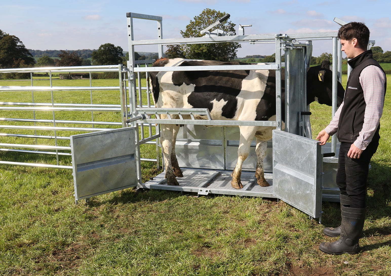 Bateman Hybrid Cattle Crush - BATA Ltd