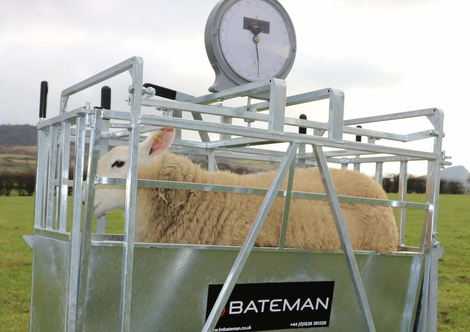 Bateman Lamb Weigh Crate - Mechanical - BATA Ltd