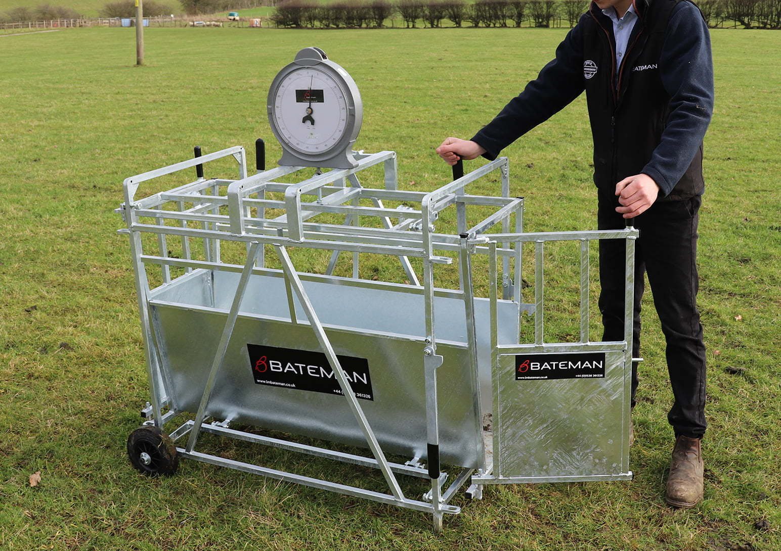Bateman Lamb Weigh Crate - Mechanical - BATA Ltd