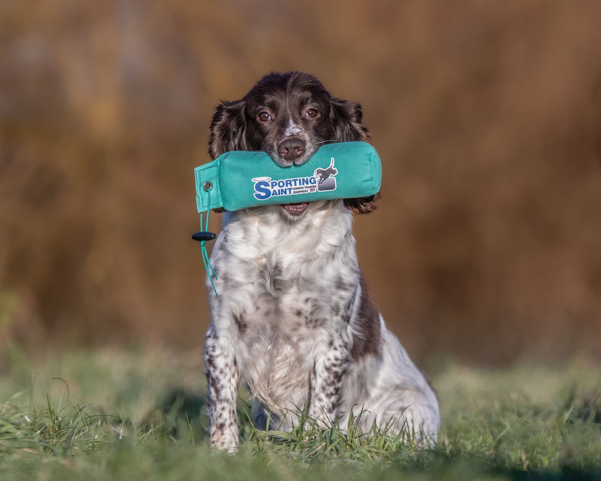 Dog Training Dummy - 1lb - BATA Ltd