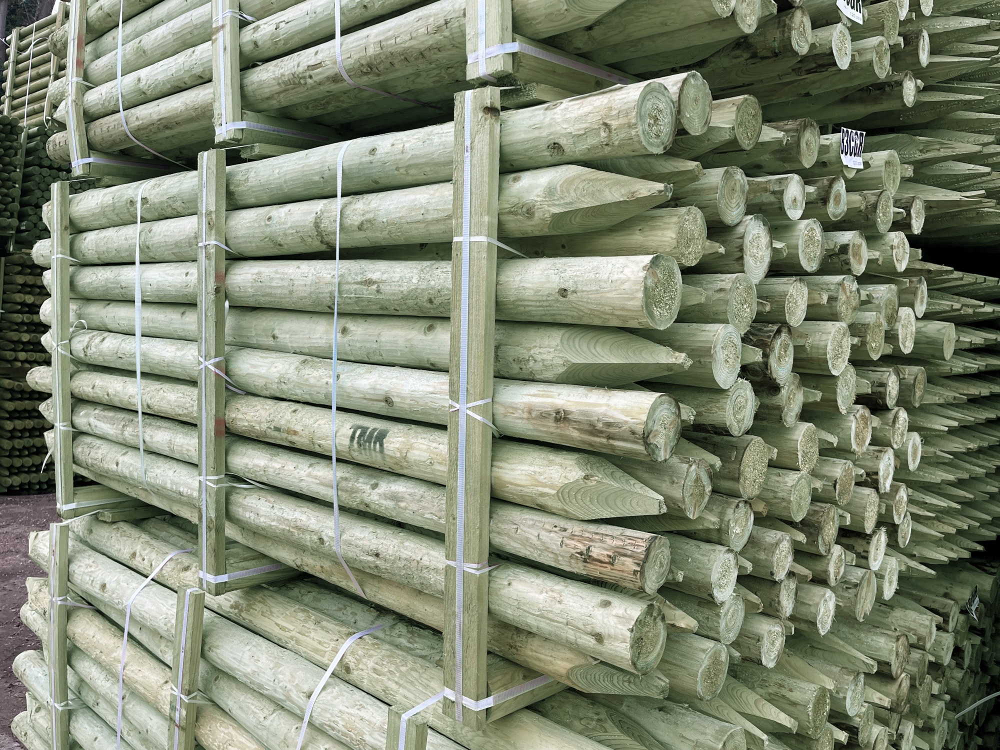 Treated Stake - 2.4m X 75-100mm - BATA Ltd