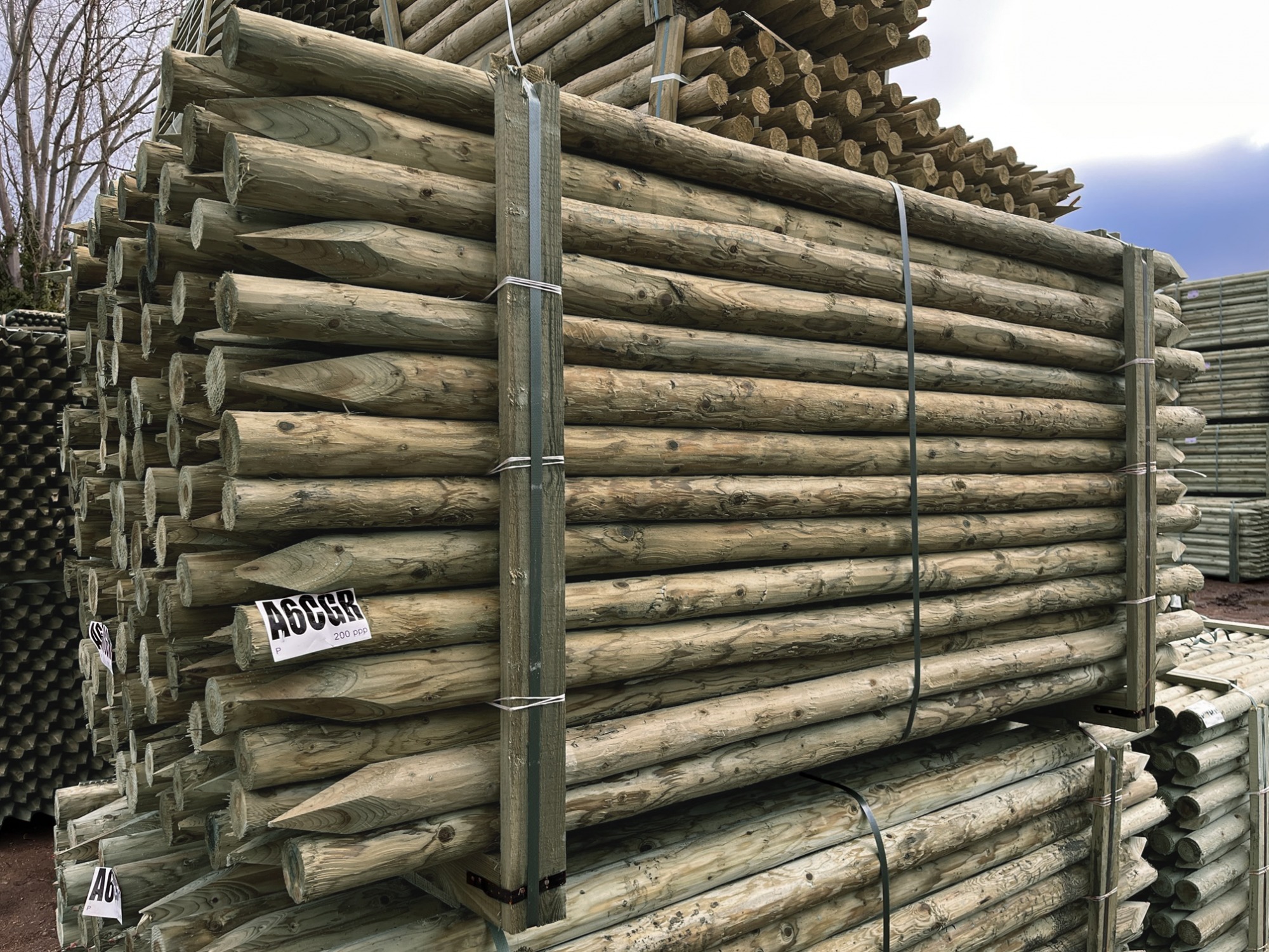 Treated Stake - 2.1m X 50-75mm - BATA Ltd