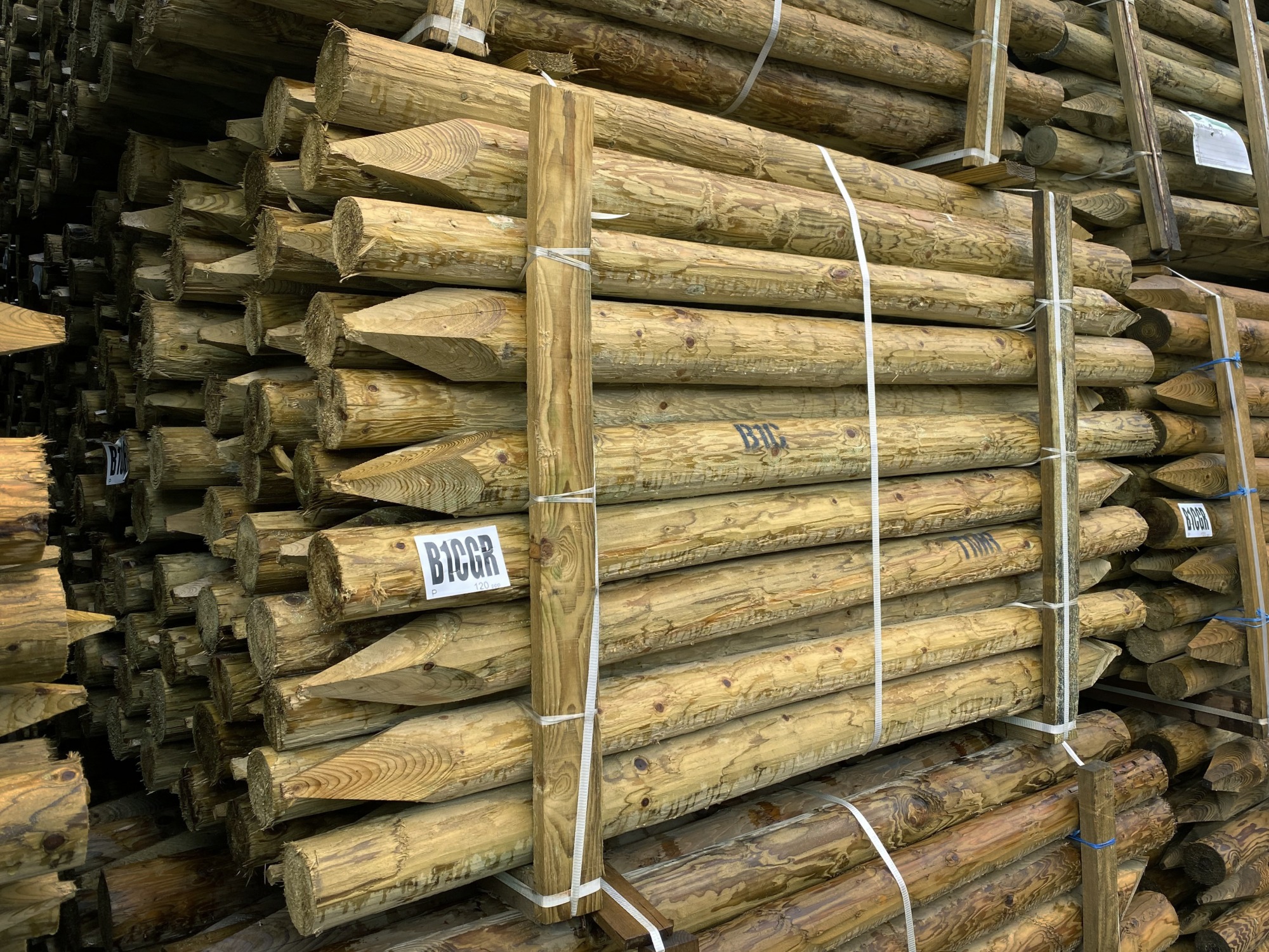 Treated Stake - 1.65m X 75-100mm - BATA Ltd