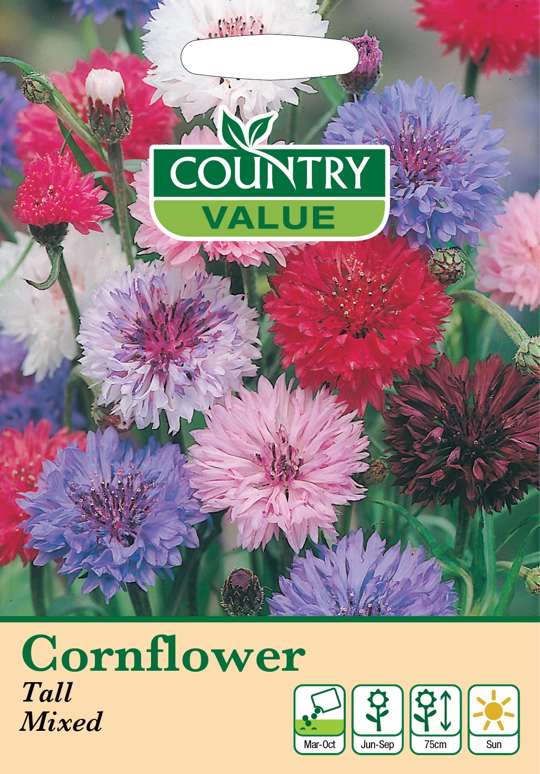 Cornflower Tall Mixed Cv Seeds - BATA Ltd