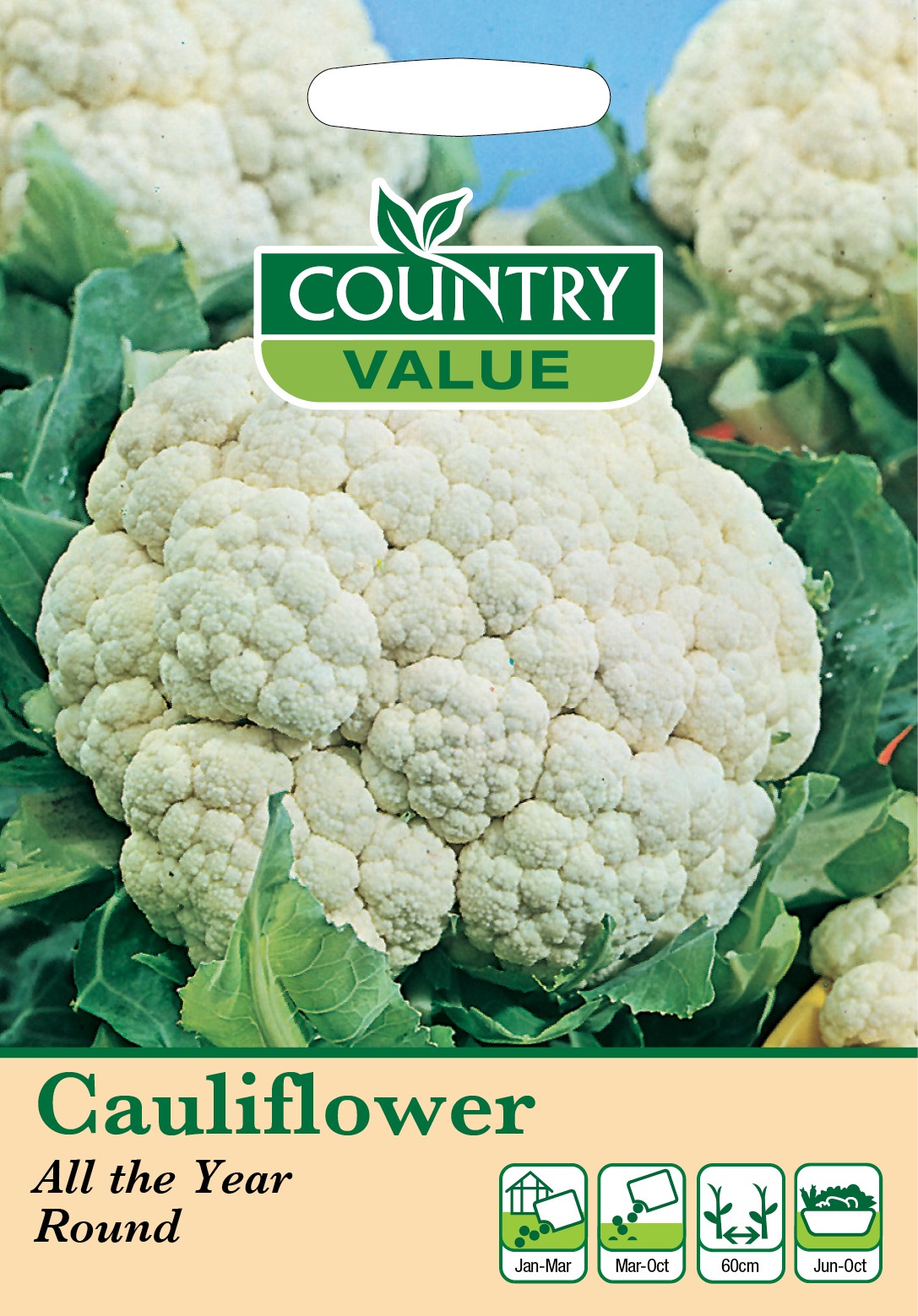 Cauliflower All Year Round C V Seeds - BATA Ltd