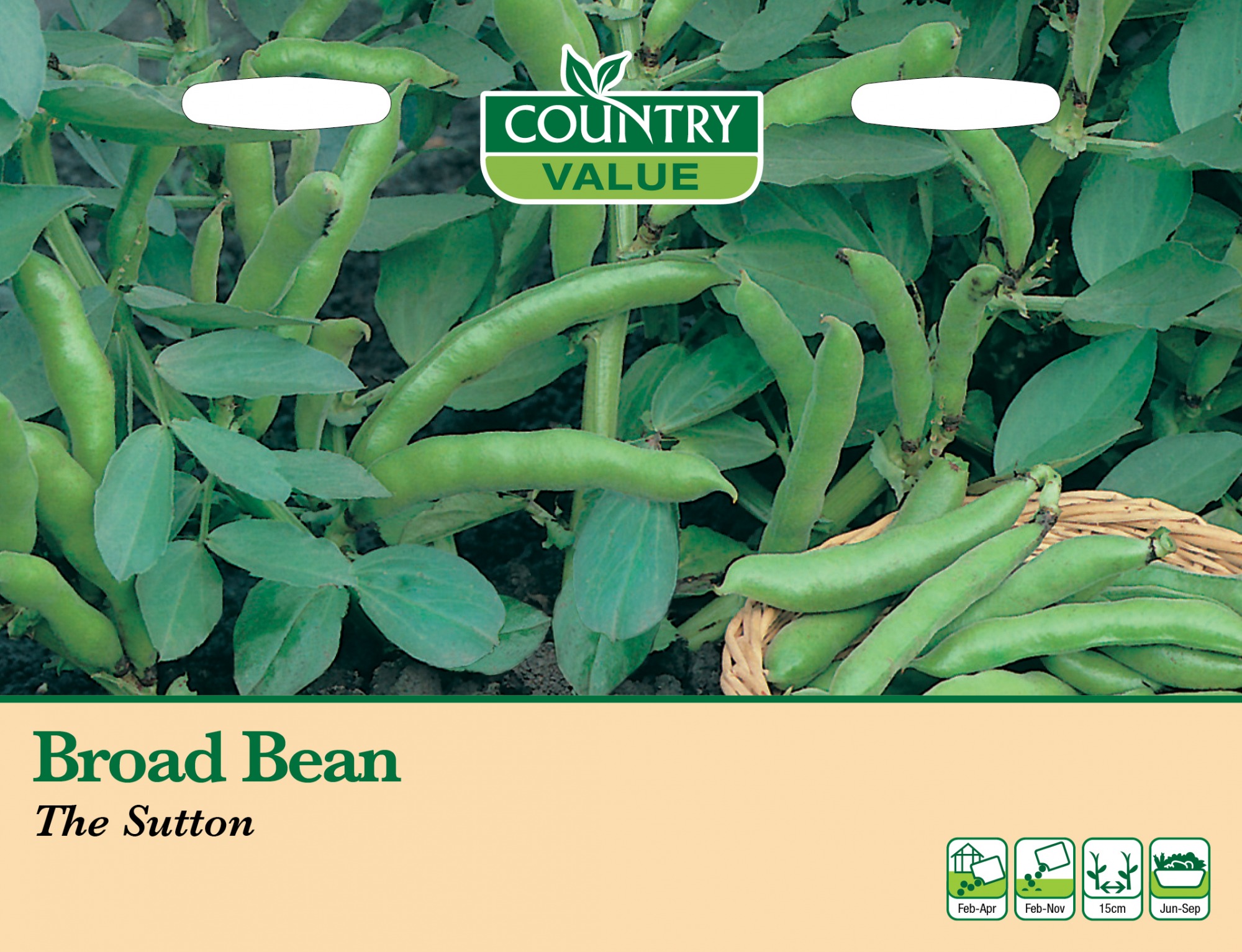 Broad Bean The Sutton C V Seeds - BATA Ltd