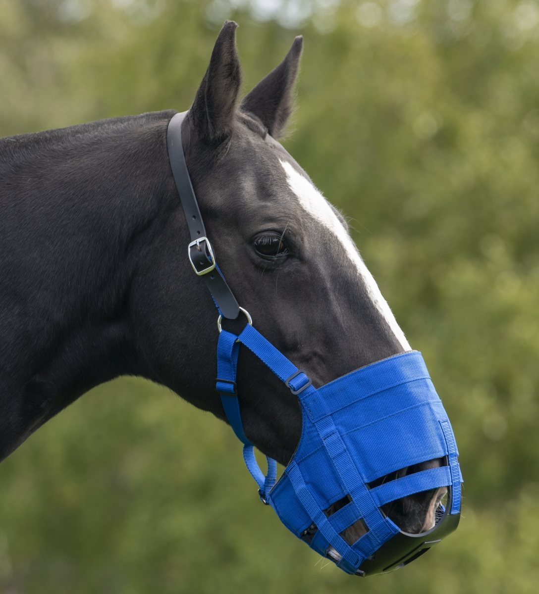 Ultimate Horse And Pony Muzzle - BATA Ltd