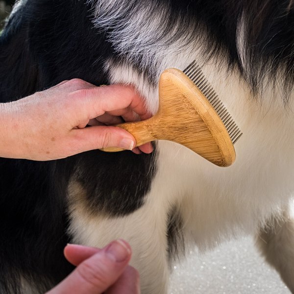 Zoon Fine Tooth Rotating Rake - BATA Ltd