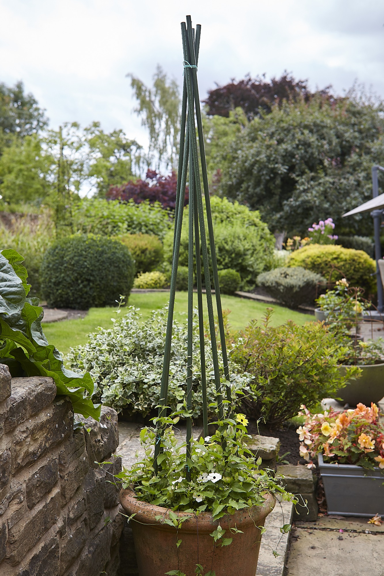 Tom Chambers Plant Stake - 90cm - BATA Ltd