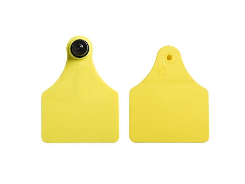 Ultra Management Large Blank Tags - 25pk - BATA Ltd