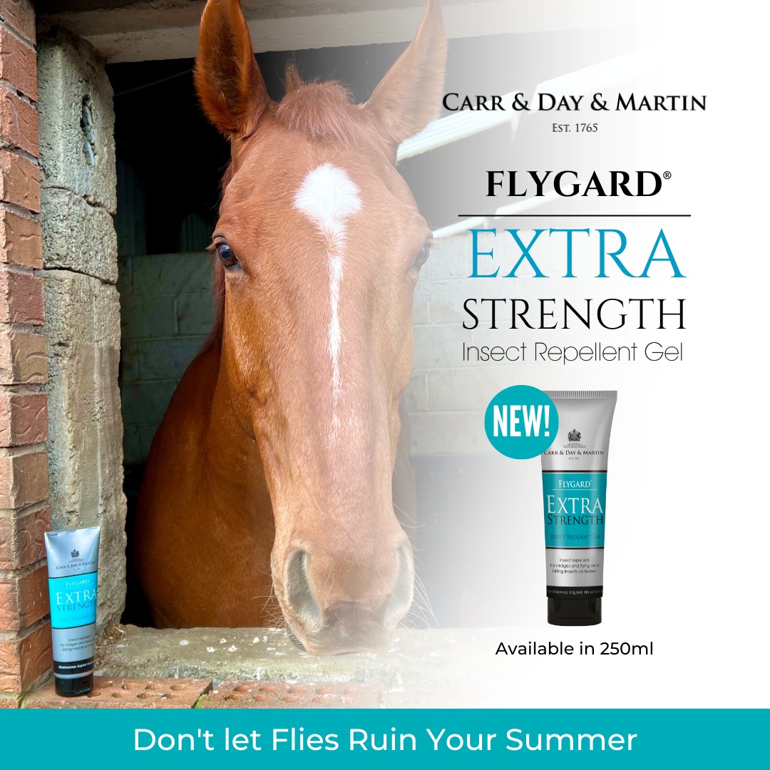 Carr Day Martin Flygard Extra Strength Insect Repellant Gel - BATA Ltd