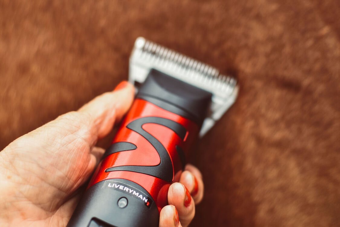 Liveryman Harmony Plus (Including 1 Wide 2.4MM Blade) - BATA Ltd