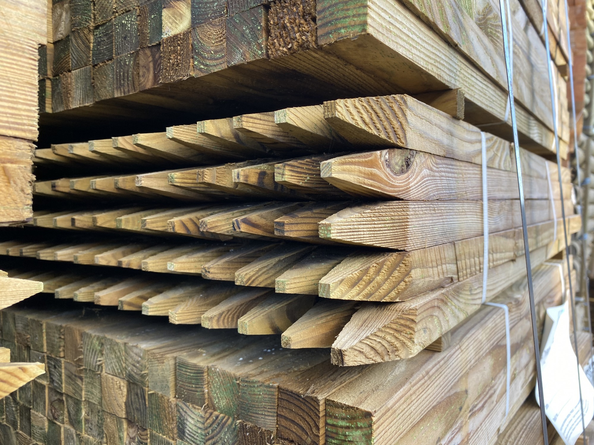 Treated Timber Tree Stake Pointed - 1.2m x 35mm x 35mm - BATA Ltd