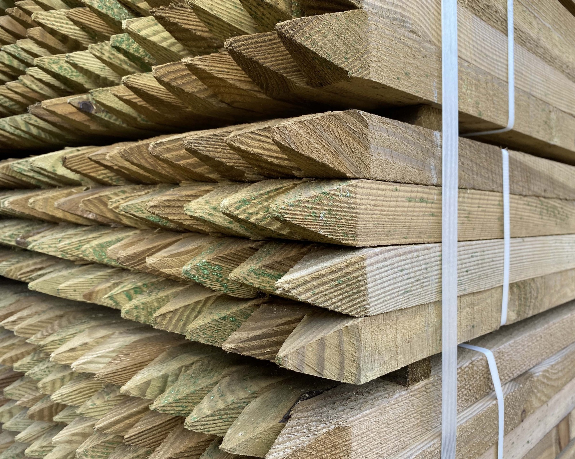 Treated Timber Tree Stake Pointed - 1.2m x 50mm x 50mm - BATA Ltd