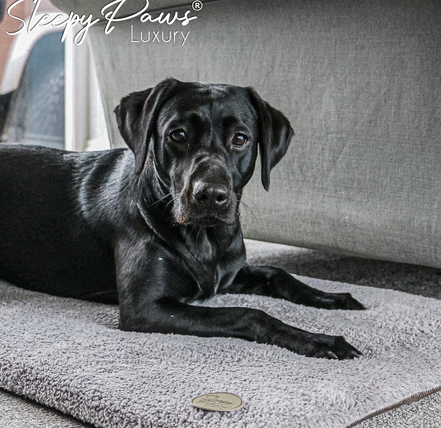 Ancol Sleepy Paws Flat Pad - BATA Ltd