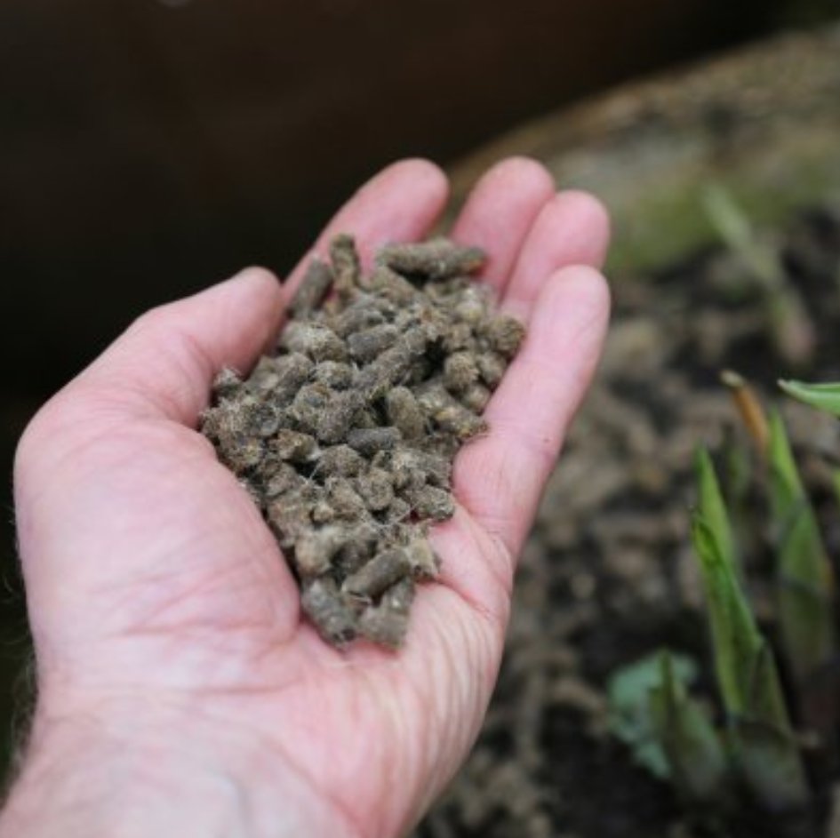 Vitax Slug Gone Wool Pellets - 3.5L - BATA Ltd
