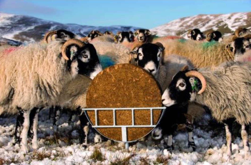 Rumevite Spike Feeder - BATA Ltd