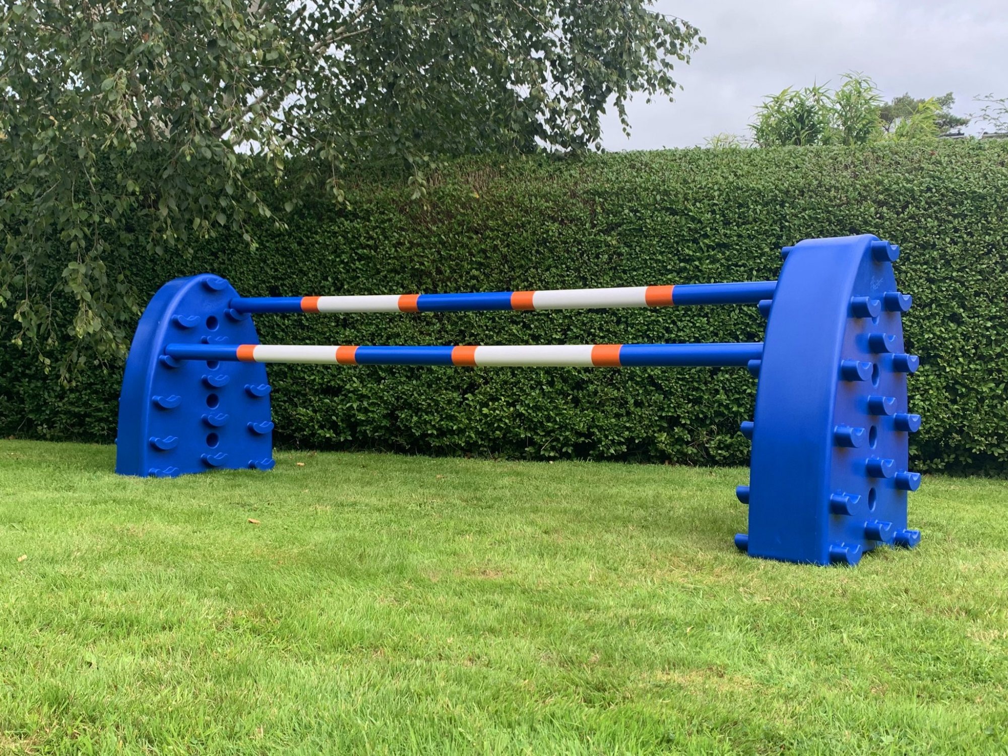 PolyJumps Hedgehog Jump Wings Pair - BATA Ltd