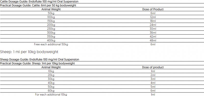 Endofluke - BATA Ltd