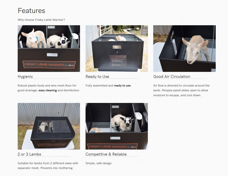 Frisky Lamb Warming Box - BATA Ltd