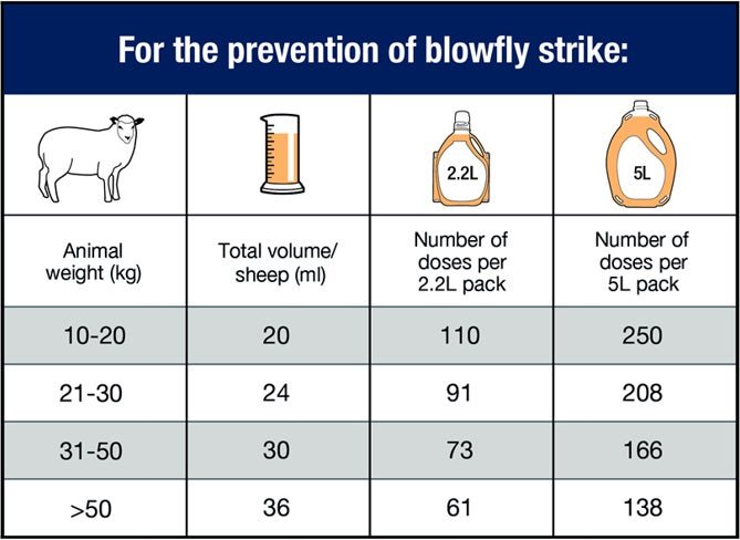 Clik Extra Pour On - 5L - BATA Ltd