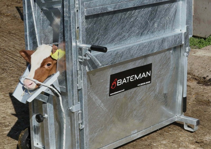 Bateman Hd Calf Dehorning Crate C/w Wheels - BATA Ltd